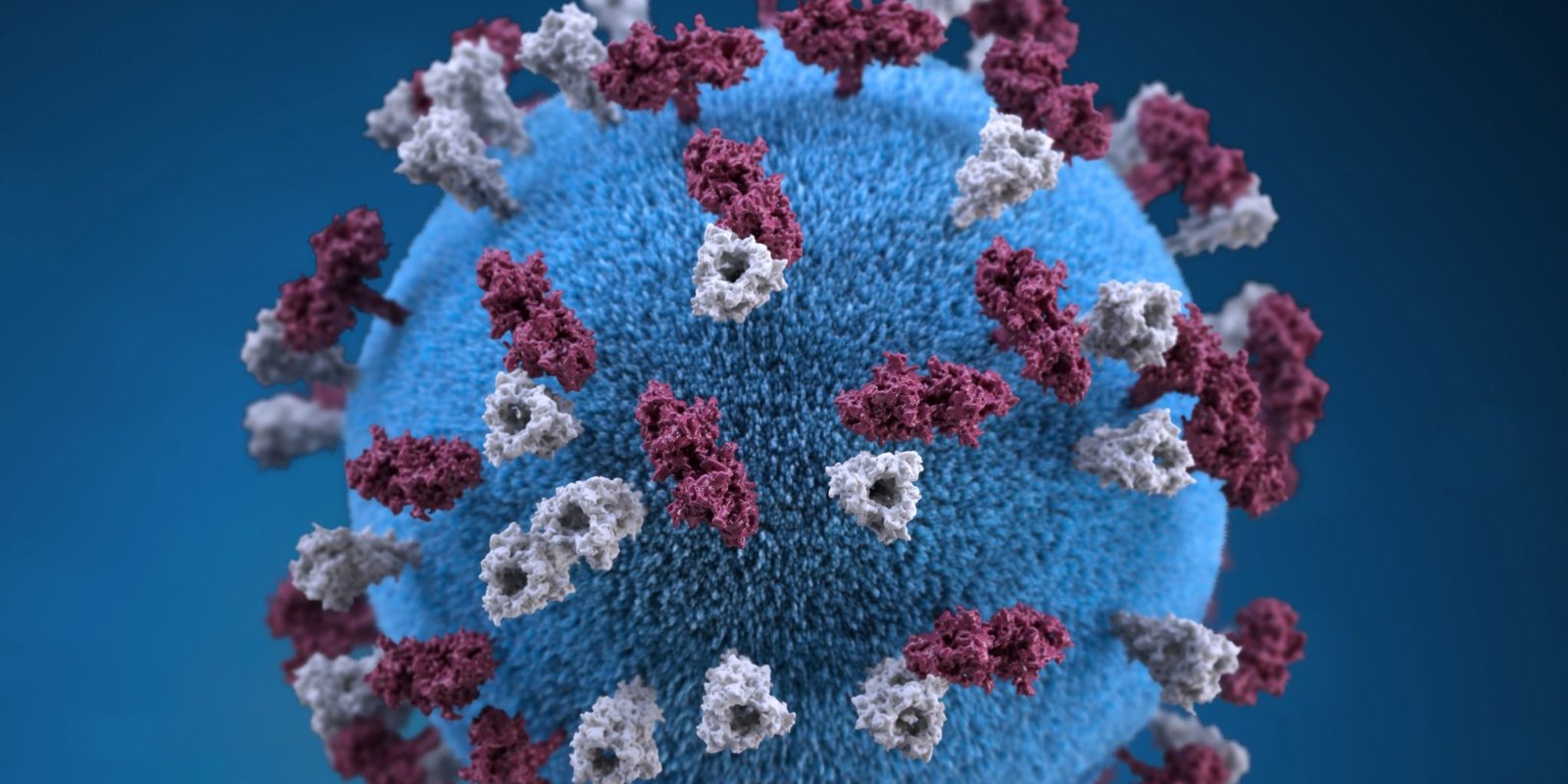 Reseña:¿Cómo se abordan las epidemias? | Noticias y Artículos de Salud ...